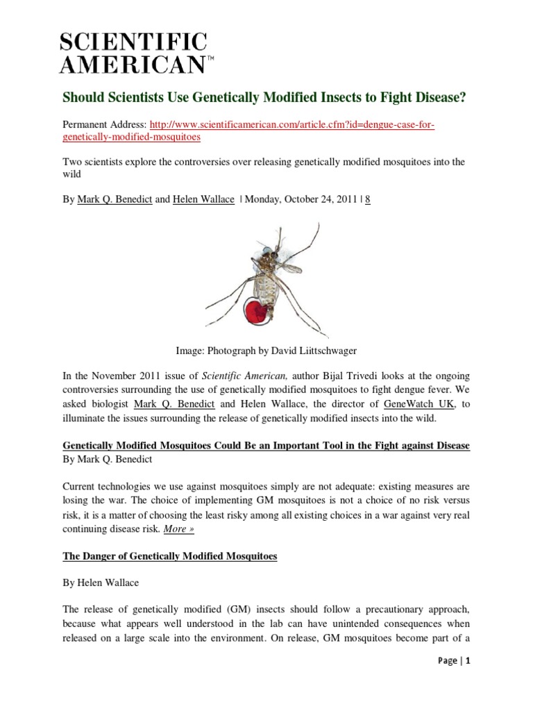 Should Scientists Use Genetically Modified Insects To Fight Disease ...