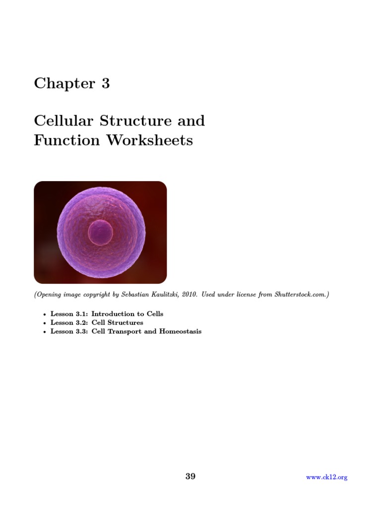 Cellular Structure and Function Worksheets | PDF | Cell (Biology ...