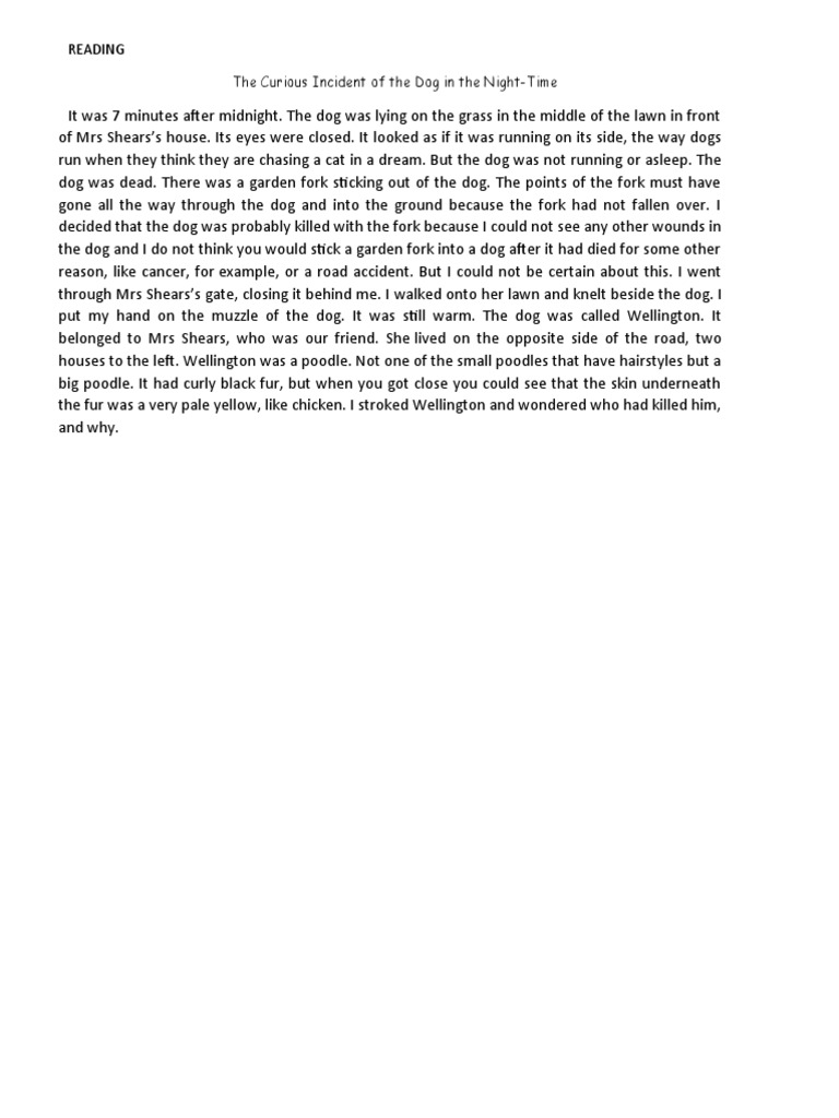 Reading: The Curious Incident of The Dog in The Night-Time | PDF