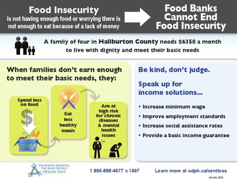 2020 Hal Food Insecure Final | PDF | Self-Improvement