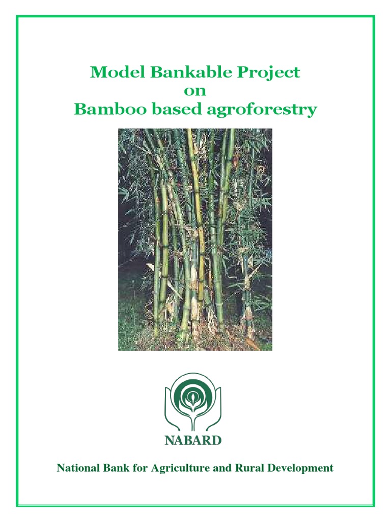 Bamboo-Based Agroforestry Project Guide | PDF | Bamboo | Fertilizer
