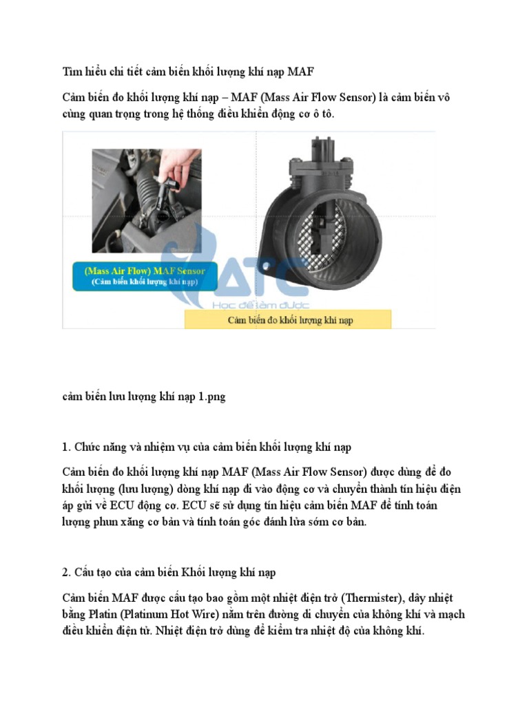MAF | PDF