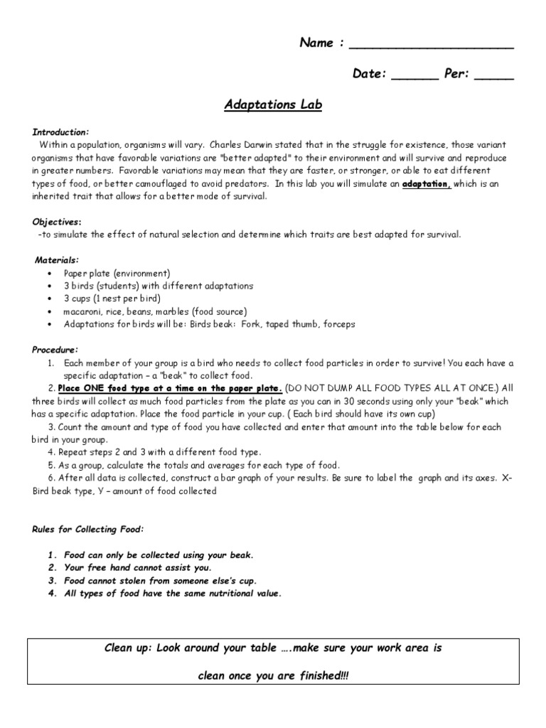 Bird Beak Adaptation Lab Guide | PDF | Adaptation | Birds
