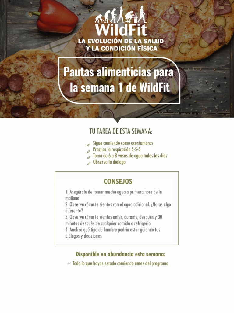 Guia de Wildfit | PDF