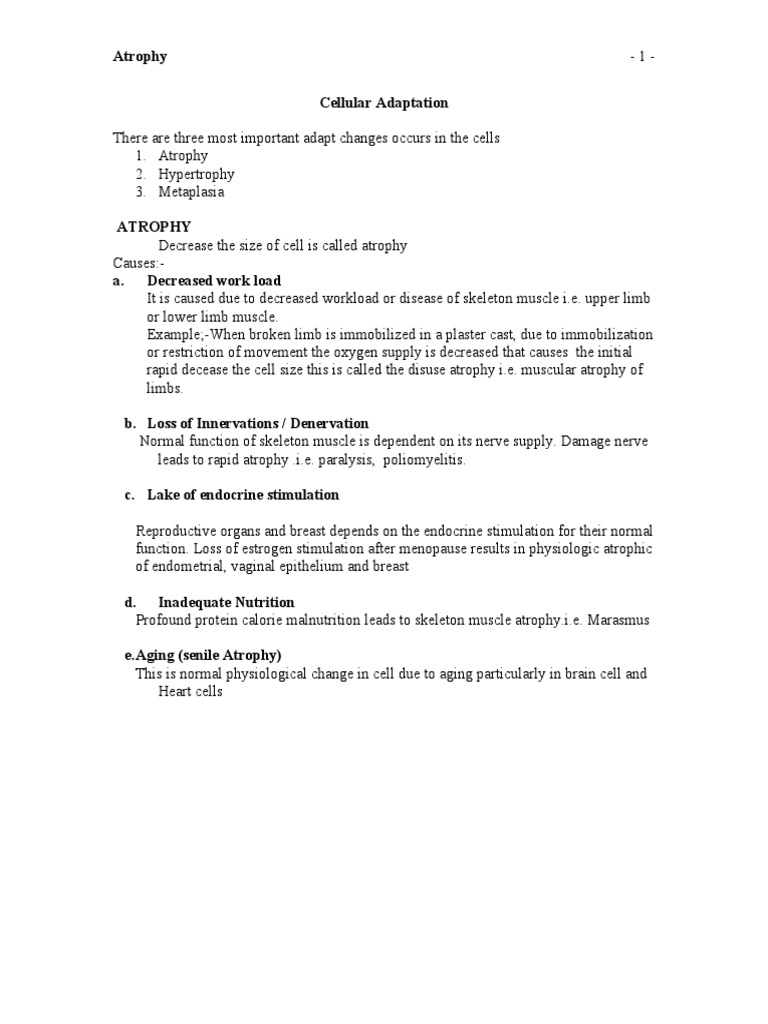 Cellular Adaptation | PDF