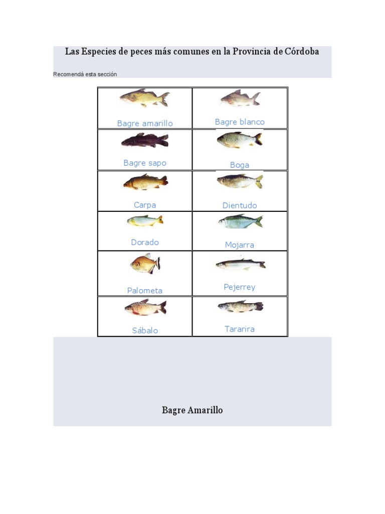 Las Especies de Peces Más Comunes en La Provincia de Córdoba | PDF ...