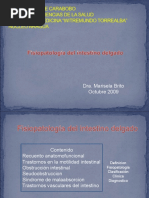 Cápsula de Glisson | PDF | Tejido adiposo | Riñón