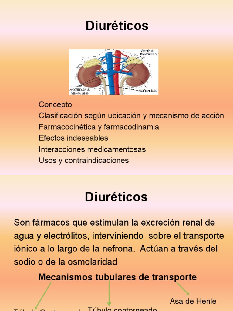 Mecanismos de acción y clasificación de los diuréticos | PDF | Drogas ...
