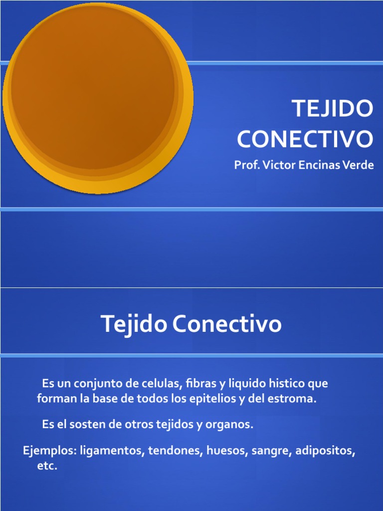 Guía Completa del Tejido Conectivo | PDF | Tejido conectivo | Cartílago