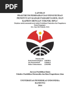 Laporan Praktikum Analisis Instrumen HPLC | PDF