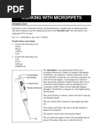 Gel Electrophoresis Lab Questions - Answer Key | PDF | Agarose Gel ...