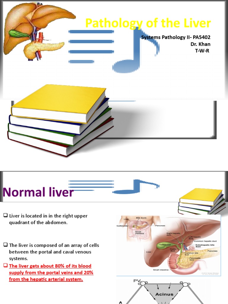 Pathology of the Liver: Key Concepts in Identifying Liver Injury and ...