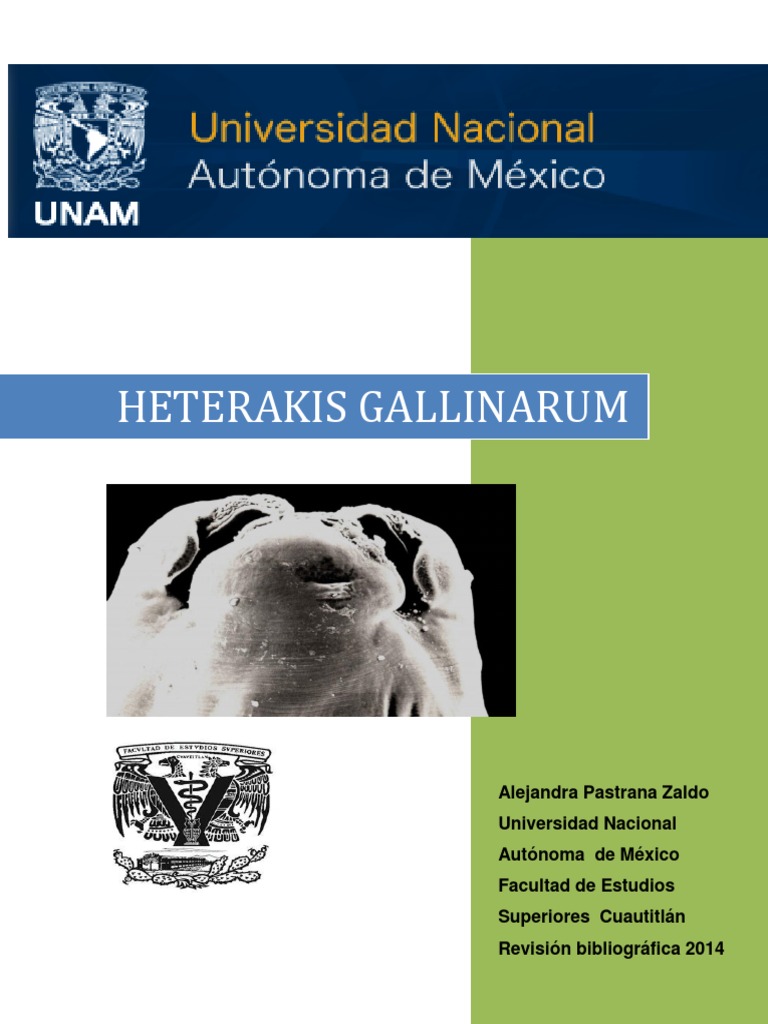 Heterakis Gallinarum en Aves | PDF | Heces | Aves