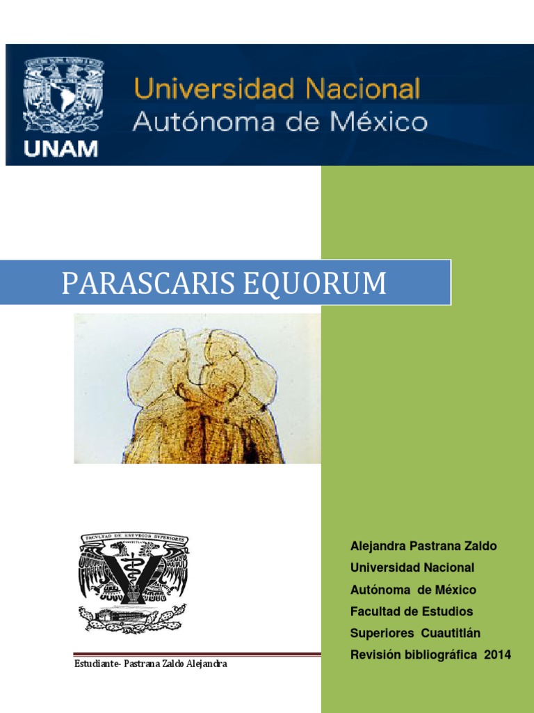 Parascaris Equorum | PDF | Pulmón | Caballos