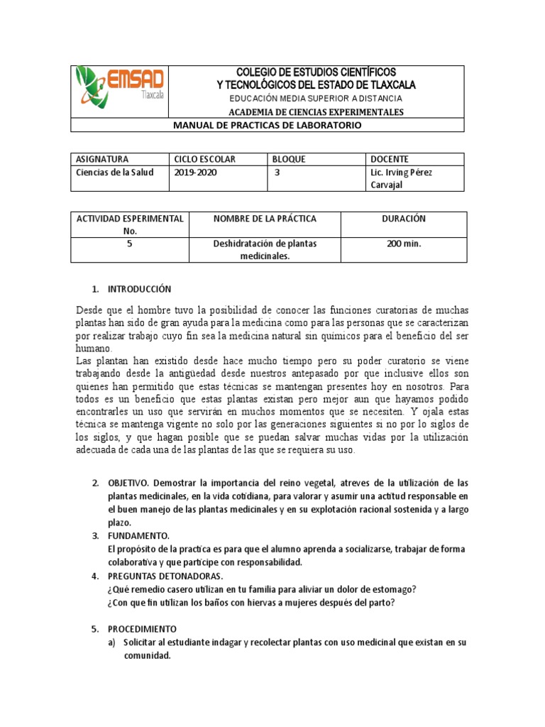 Practica de Herbolario | PDF | Plantas medicinales | Plantas