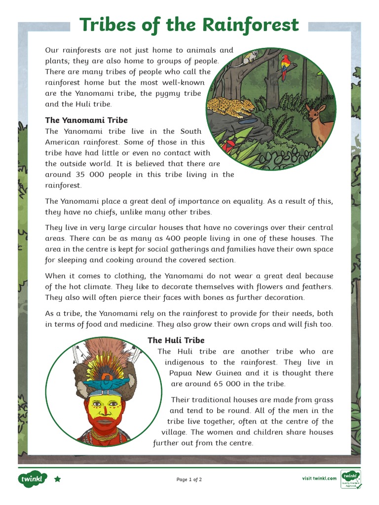 Tribes of The Rainforest Reading Comprehension | PDF | Rainforest | Wig