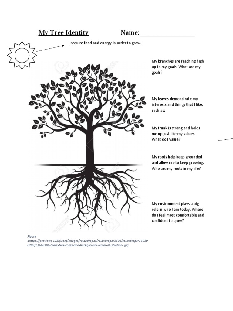 Yr 5 Lesson 10 My Tree Identity Graphic Organizer | PDF | Trees | Leaf