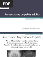 Protocolo Serie Osea o Huesos Largos | PDF | Hueso | Radiología