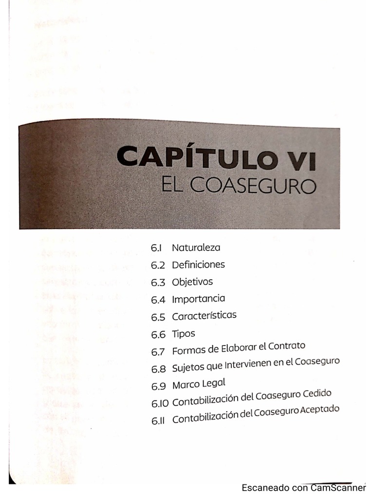 El Coaseguro PDF | PDF