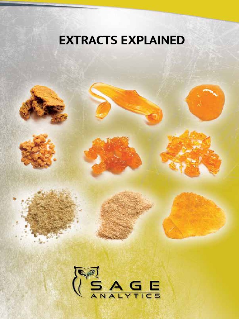 Extracts Explained | PDF | Cannabis (Drug) | Cannabis