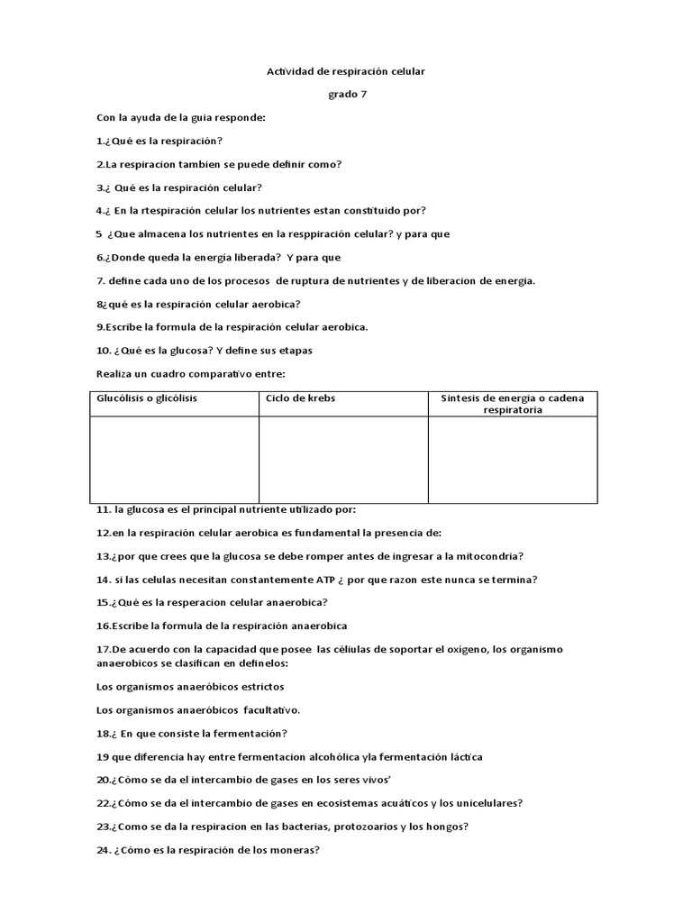Actividad de Respiración Celular Grado 7 | PDF