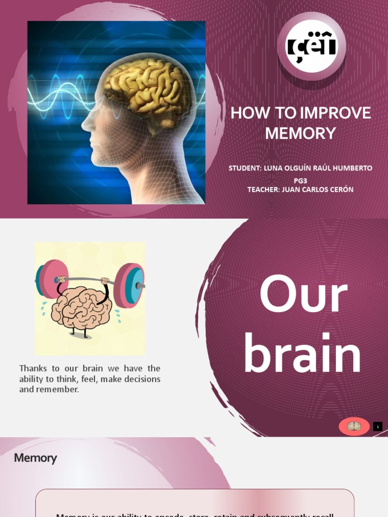 How To Improve Memory | PDF