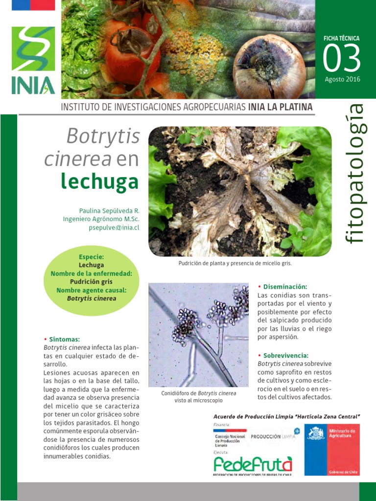 Botrytis | PDF | Plantas | Especialidades Medicas