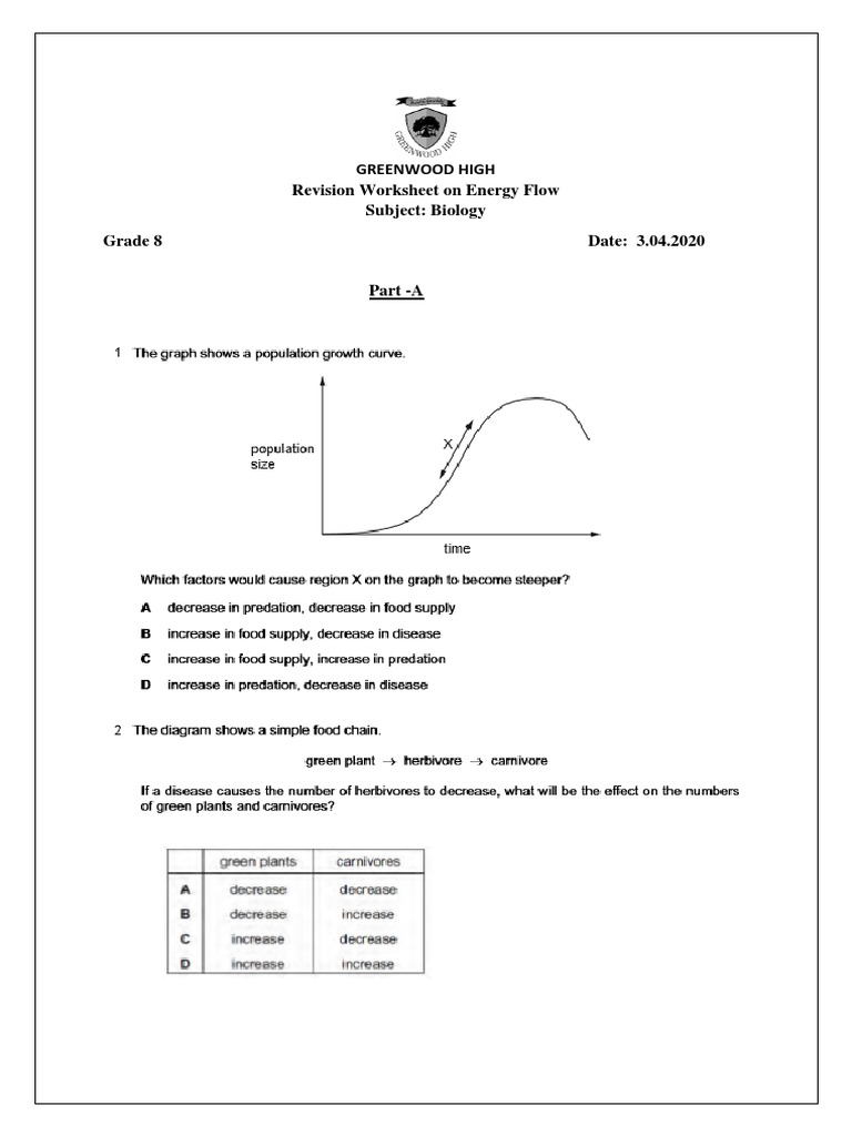 WS Grade 8 Energy Flow | PDF