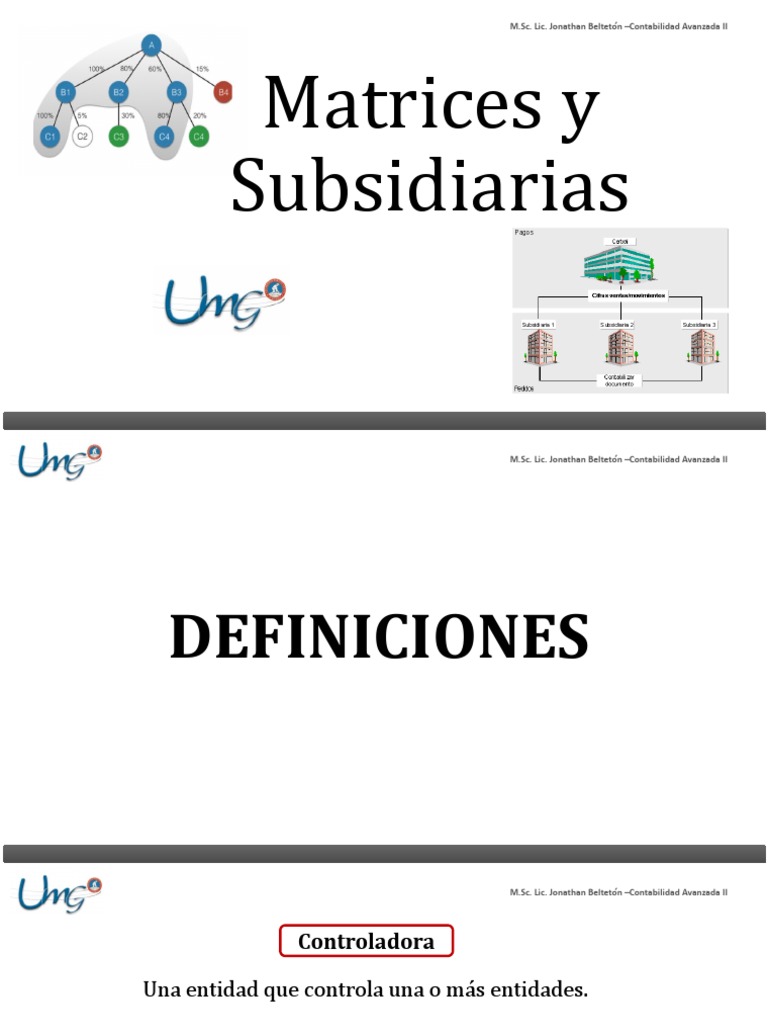Matrices y Subsidiarias | PDF | normas internacionales de INFORMACION ...