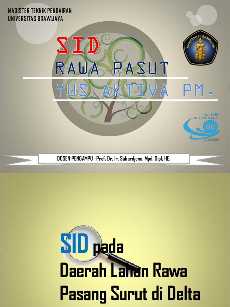 Contoh SID Reklamasi Rawa | PDF