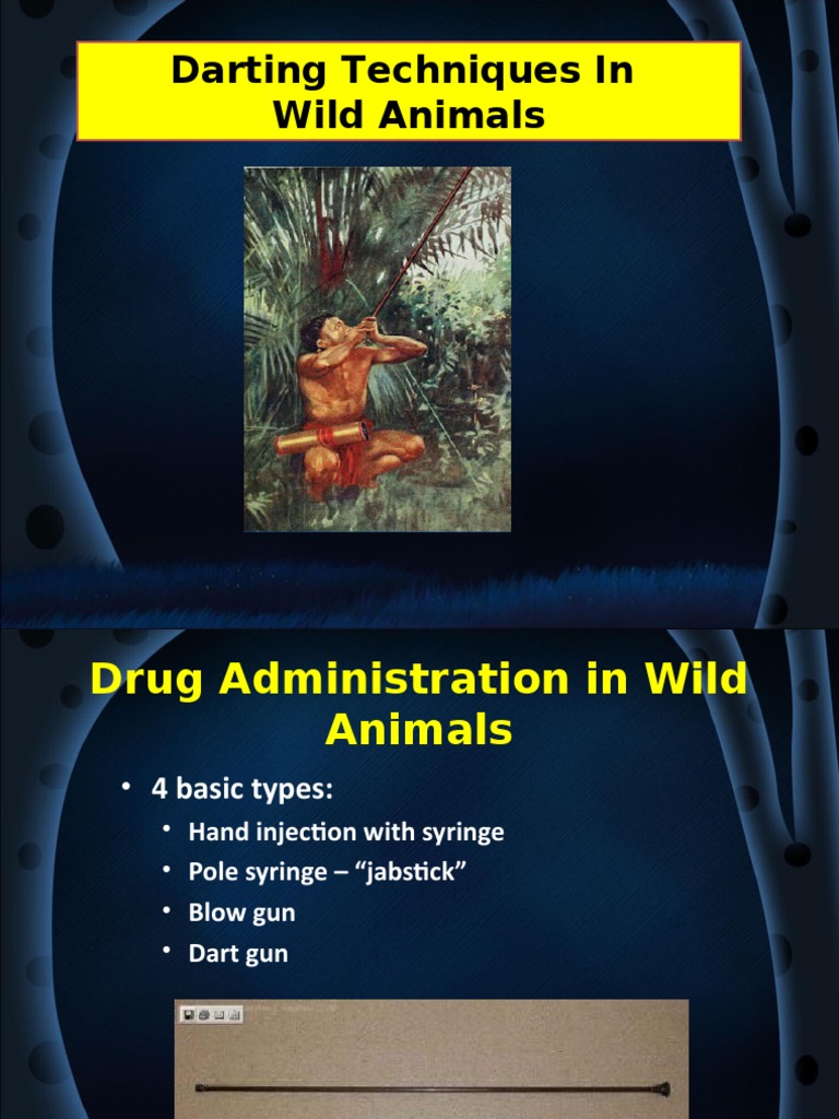 Darting Techniques in Wild Animals | PDF | Gun | Rifle