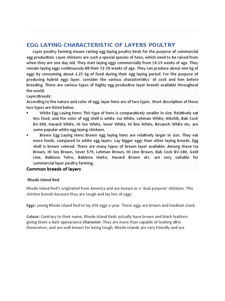 Egg Laying Characteristic of Layers Poultry | PDF | Chicken | Poultry ...