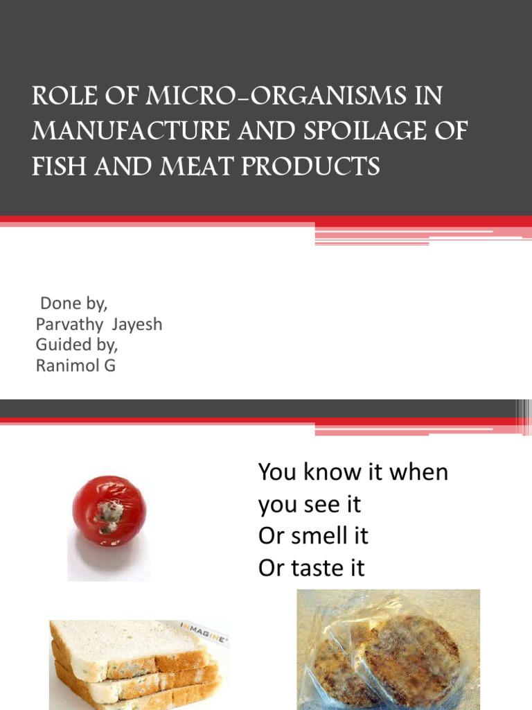 Fish 150803133319 Lva1 App6892 PDF | PDF | Decomposition | Microorganism