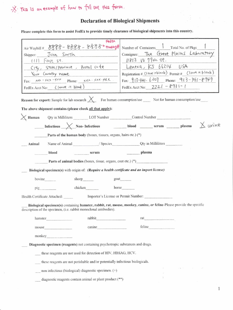 Example of Declaration of Biological Shipments Form | PDF | Tissue ...