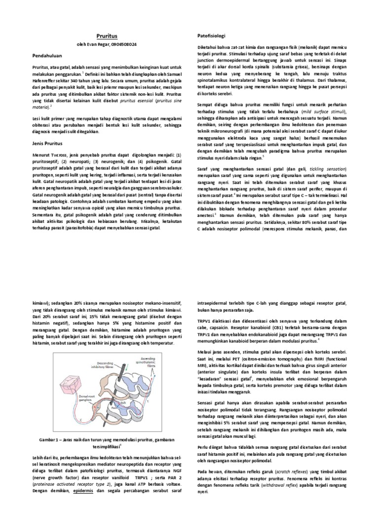 Mekanisme Gatal (Pruritus) | PDF