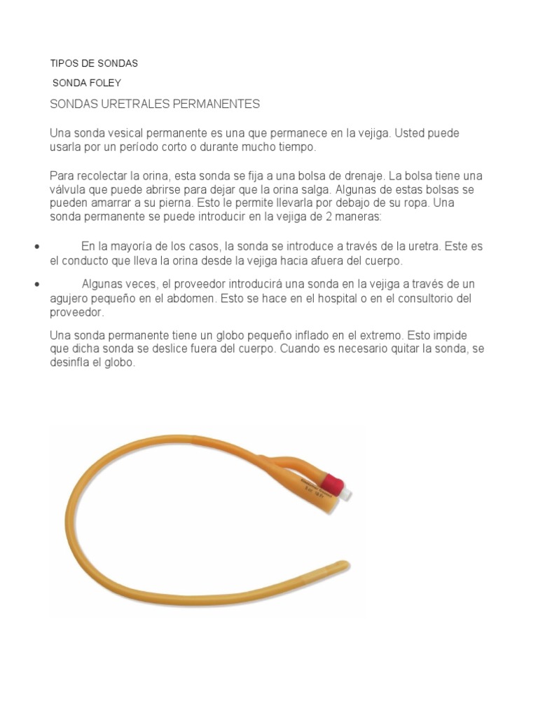 Tipos De Sondas Pdf Urología Sistema Digestivo