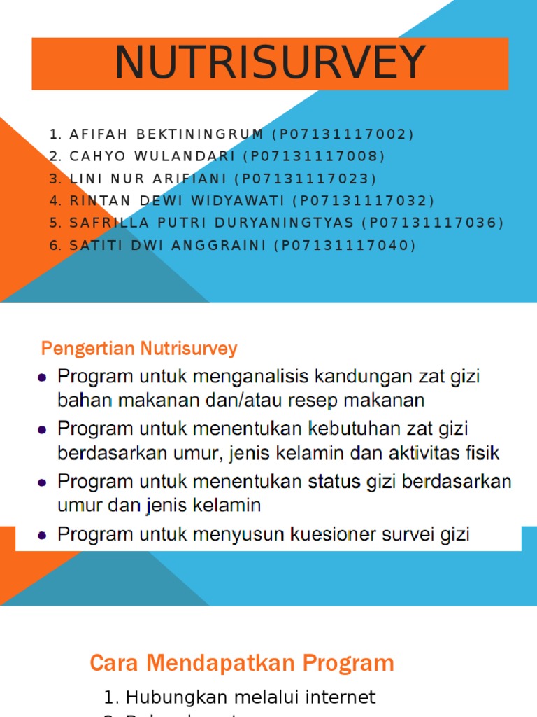 Nutrisurvey | PDF