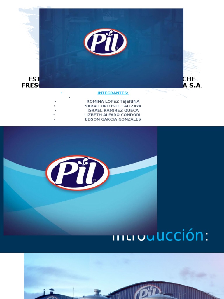Estrategia Digital para El Producto "Leche Fresca y Natural" de La ...