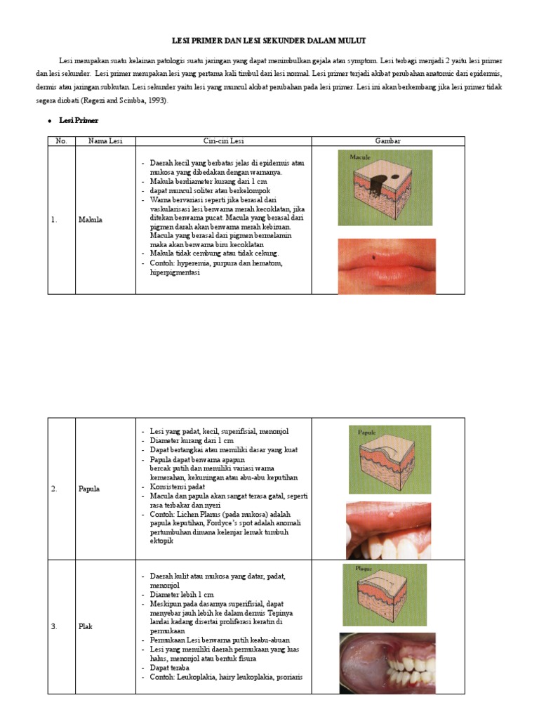 Lesi Primer Dan Lesi Sekunder Dalam Mulut | PDF
