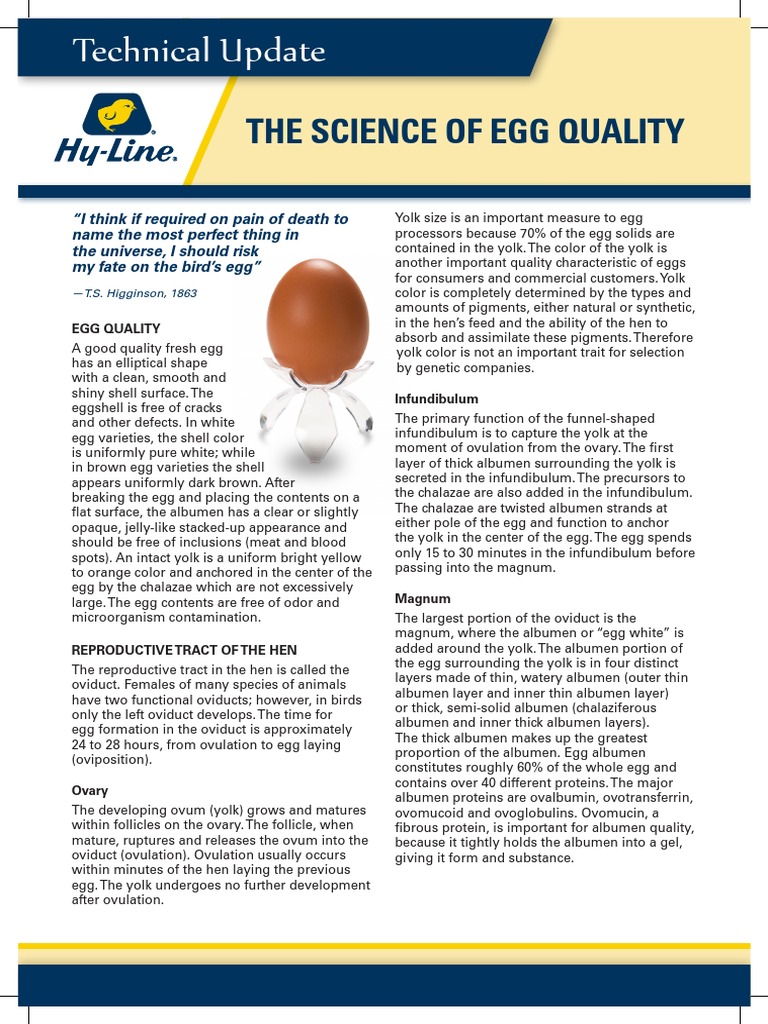 Technical Update: The Science of Egg Quality | PDF | Egg White | Egg