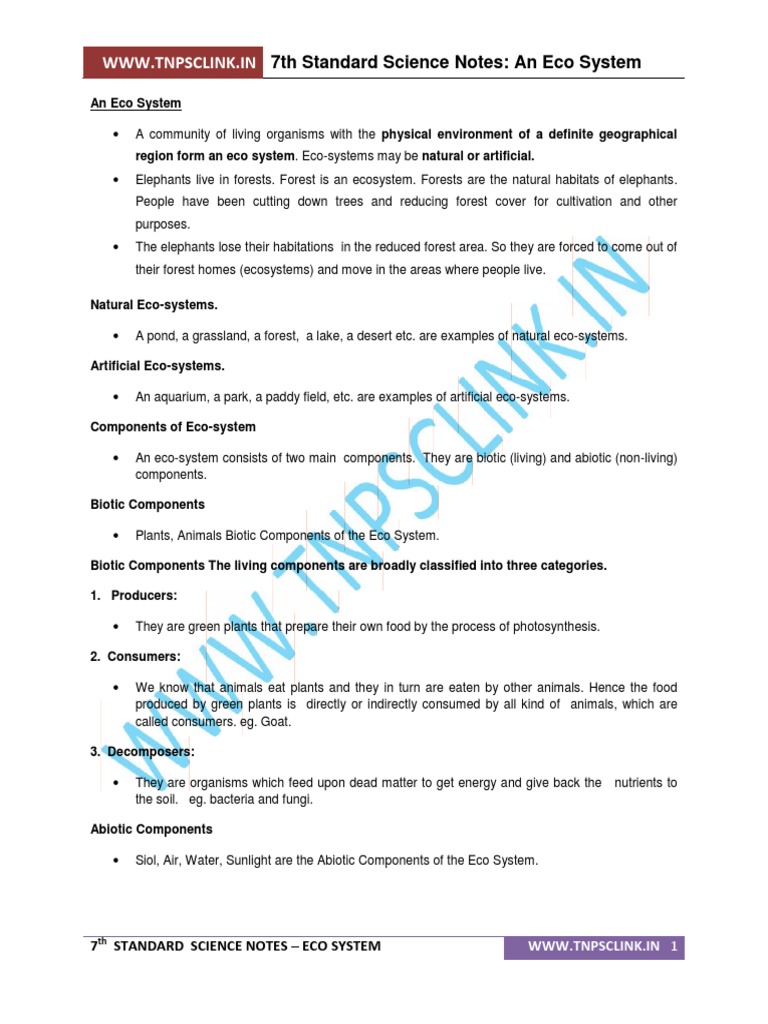 7th Standard Science - EcoSystem | Download Free PDF | Ecosystem | Ecology