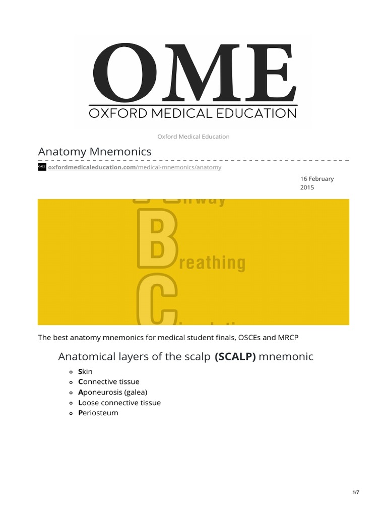 Anatomy Mnemonics PDF | PDF | Human Anatomy | Musculoskeletal System