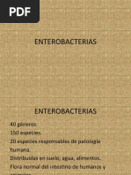 FDOC-090 - Guía No. 1 Identificación de Enterobacterias | PDF | Laboratorios | Salmonela