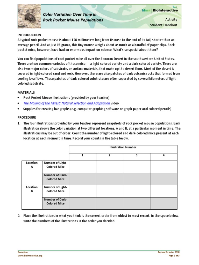 Mouse Color Student Handout PDF | PDF | Mouse | Fitness (Biology)