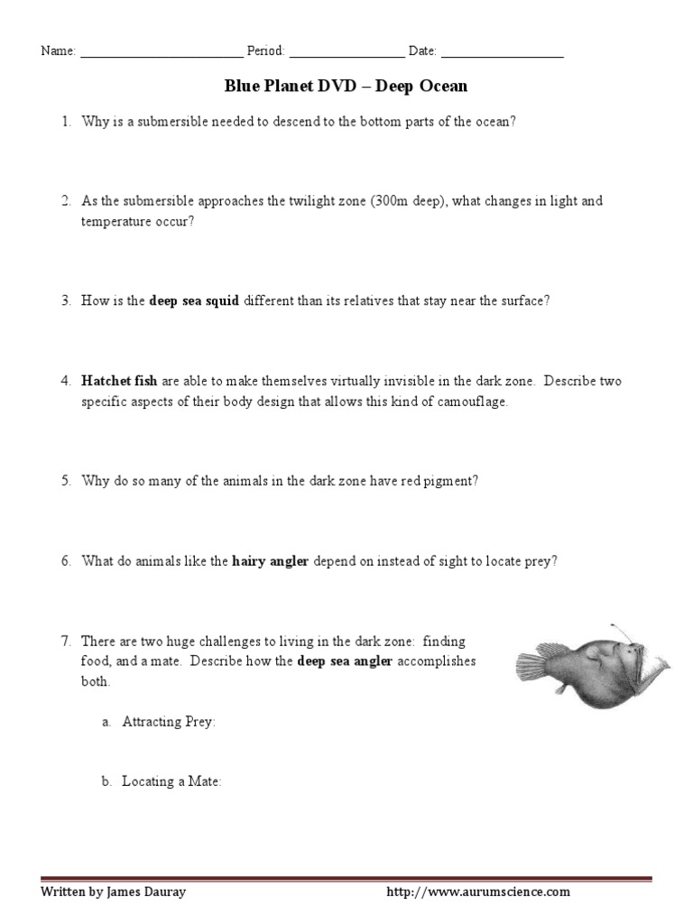 Deep Ocean Exploration Questions | PDF | Coral | Sea