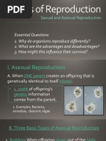 Comparative Embryology Exploration Guide | PDF | Embryo | Biological ...