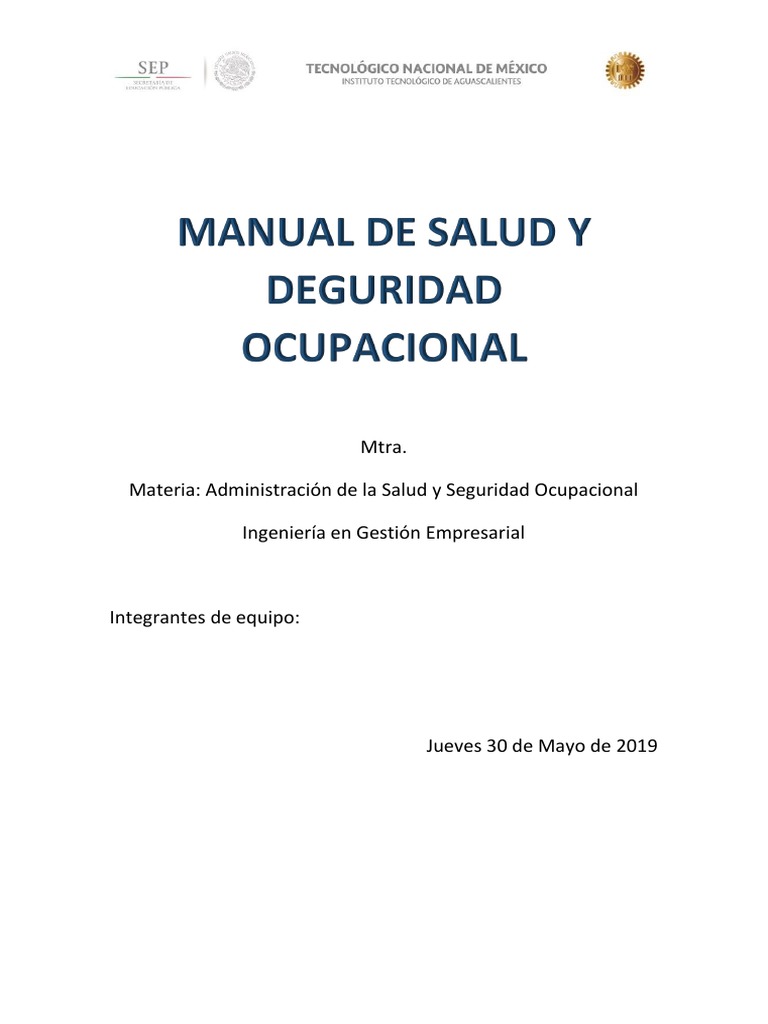 Manual de Salud y Seguridad Ocupacional | PDF | Seguridad y salud ...
