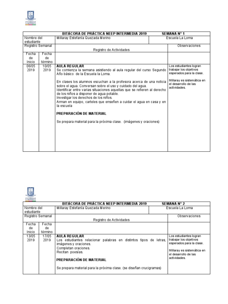 Ejemplo Formato Bitacora | PDF | Salón de clases | Aprendizaje