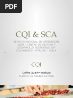 Formato SCAA (Esp) | PDF | Comida y bebida