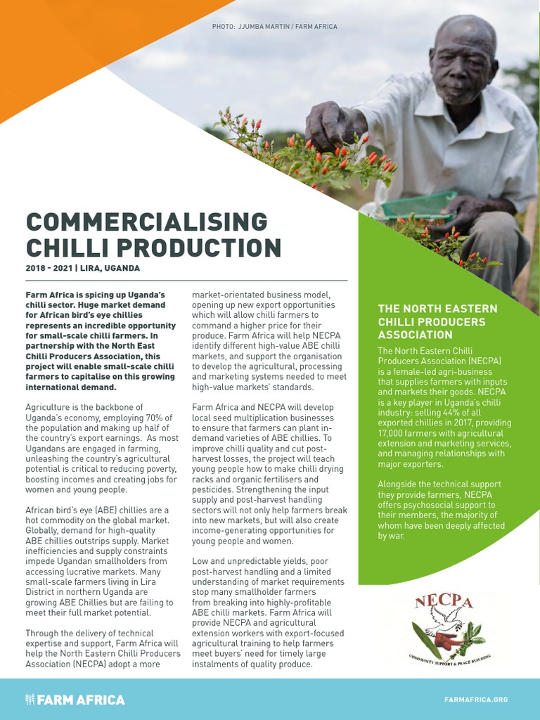 Boosting Uganda's Chilli Farming Potential | PDF | Farmer | Sustainability